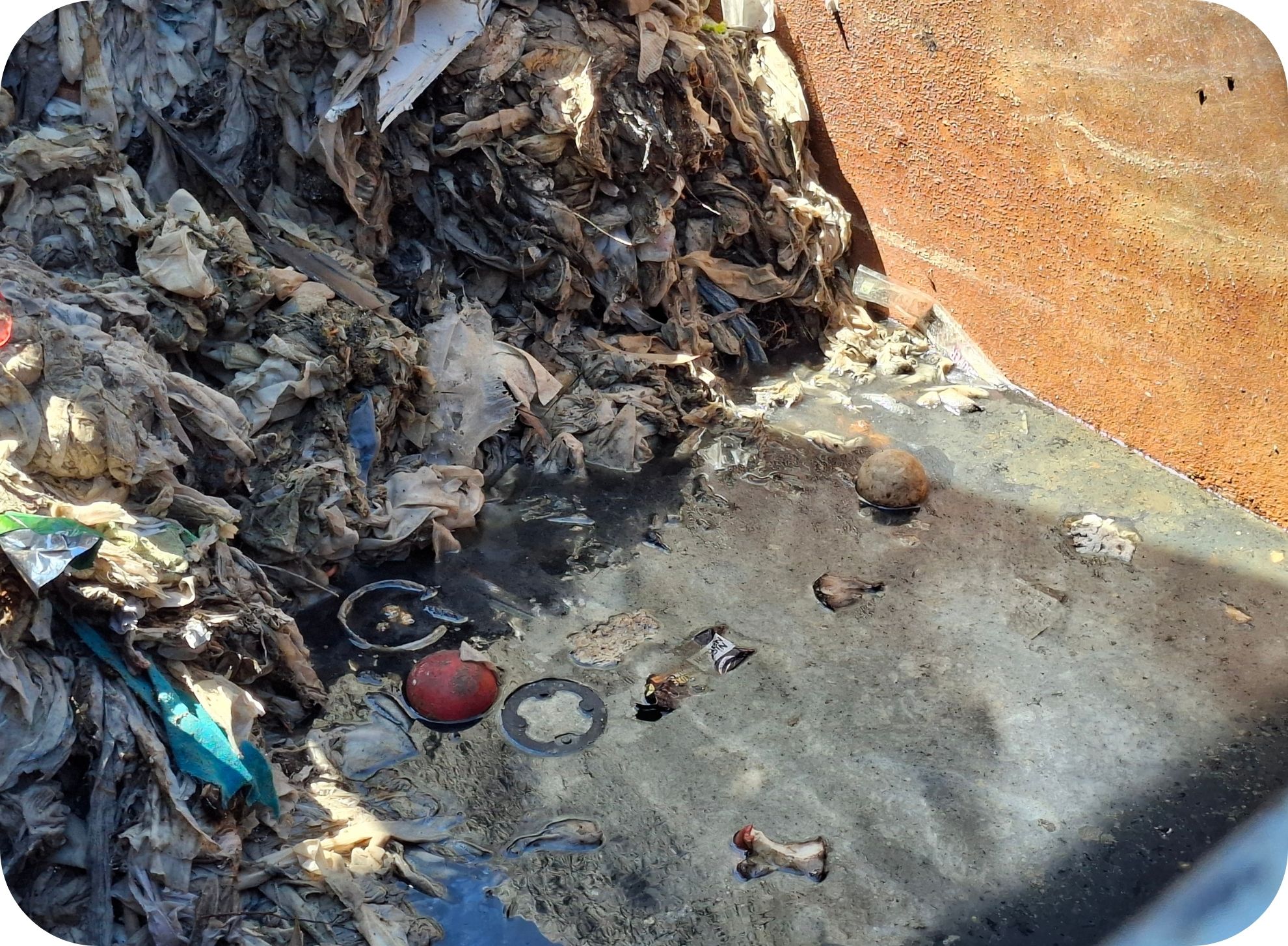 Making a stink: What not to flush in 2026 | WE ARE.SA