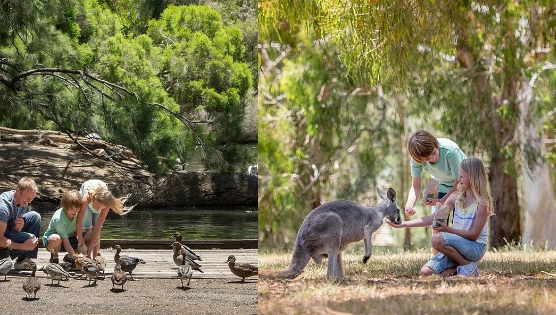 Park life! Which SA national park is best for your children | WE ARE.SA