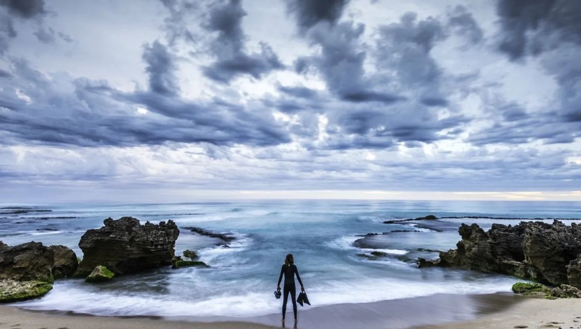 Caring for our coastline and marine parks | WE ARE.SA