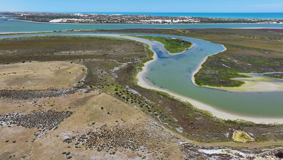 Coorong cattle station to become part of national park | WE ARE.SA